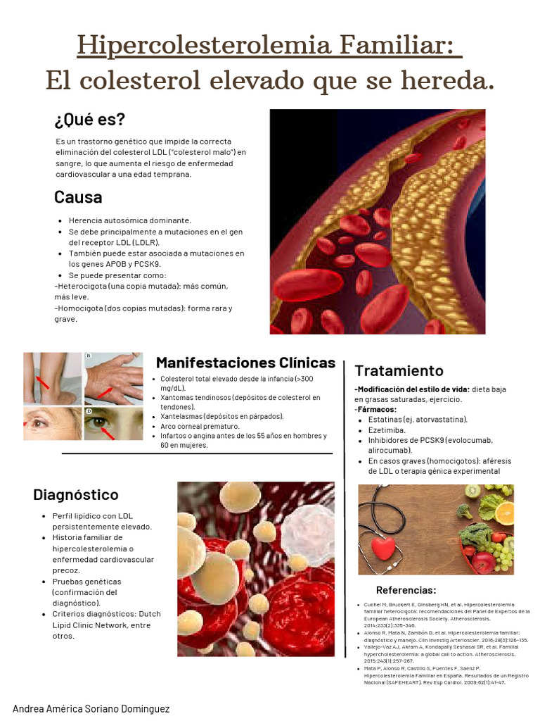 Hipercolesterolemia Familiar El Colesterol Elevado Que Se Hereda | PDF ...