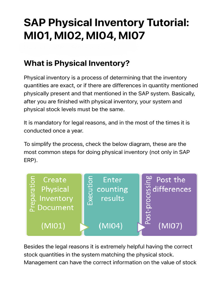 SAP Physical Inventory Process Guide | PDF | Inventory
