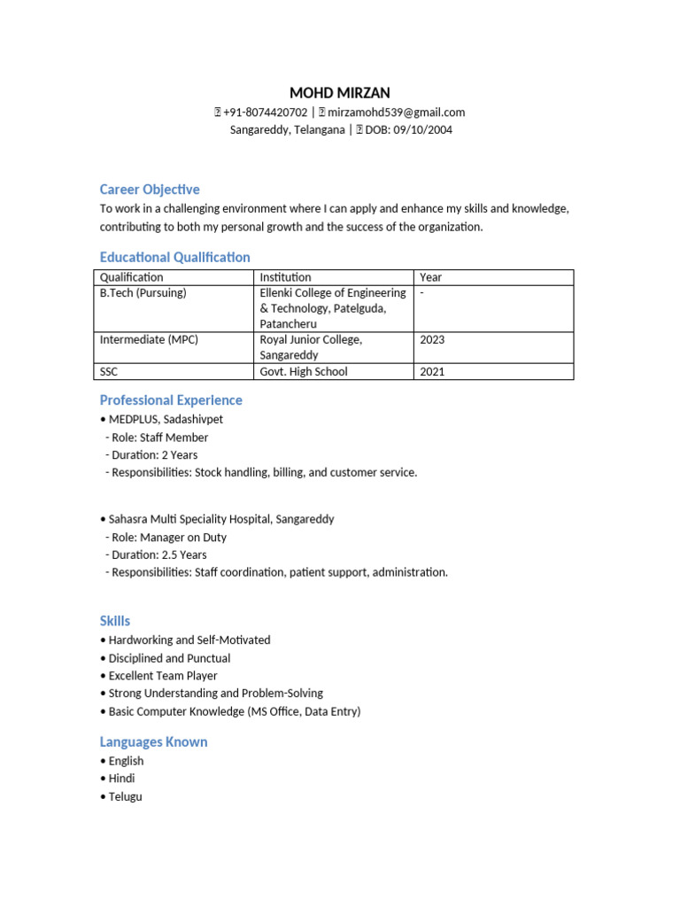 Mohd Mirzan Resume | PDF