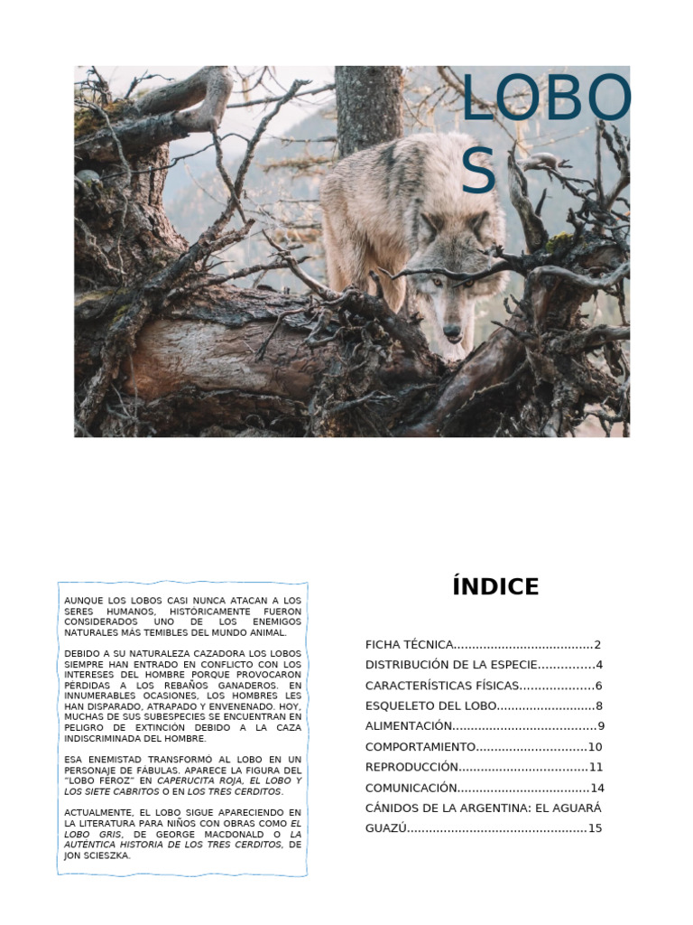 2024 LOBOS-2° AÑO-I TEXTO NFORMATIVO - Docx MAYÙSCULA | PDF | Zoología