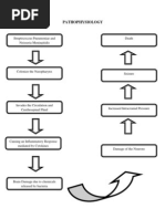 Levels of Clientele in CHN | PDF | Parenting | Relationships