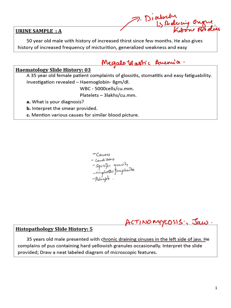 History-Urine Sample A & B Haematology Histopath S - 250506 - 002355 ...