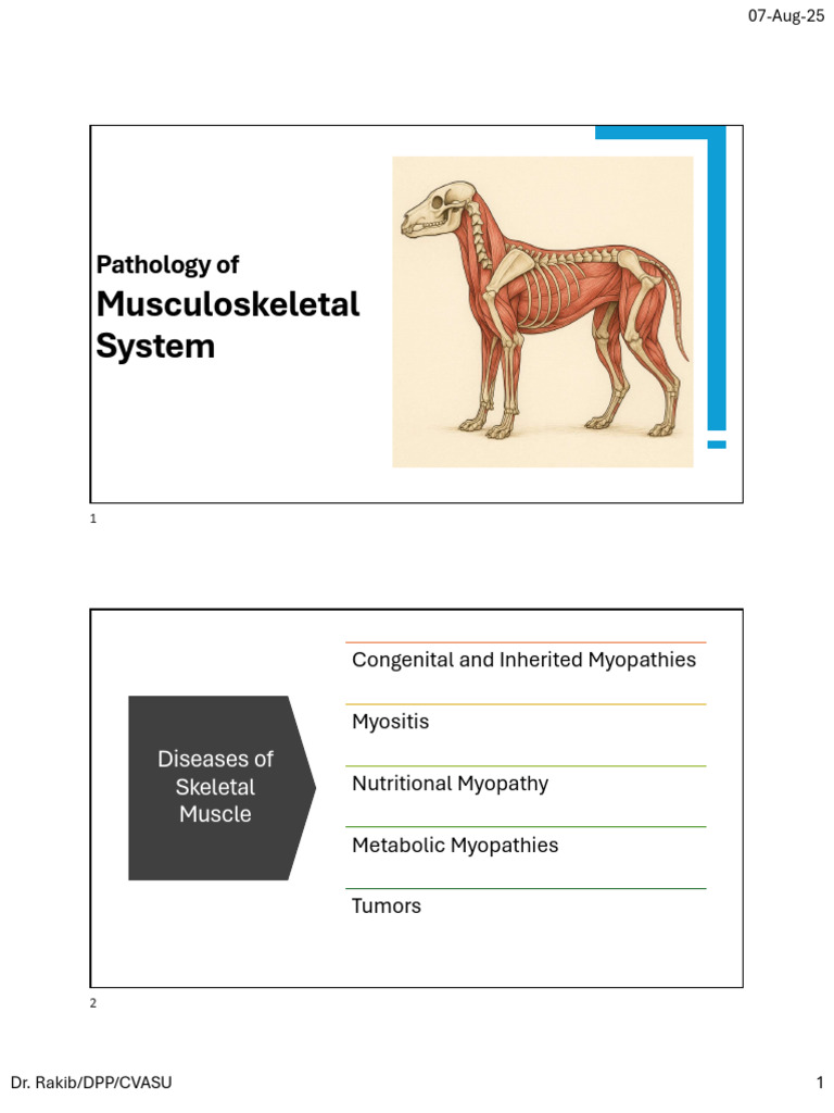 Musculoskeletal System Pathology Overview | PDF | Bone | Skeletal Muscle