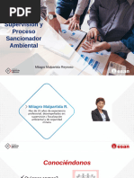 Acceso y Uso de SNIFA en Chile | PDF | Gobierno | Justicia