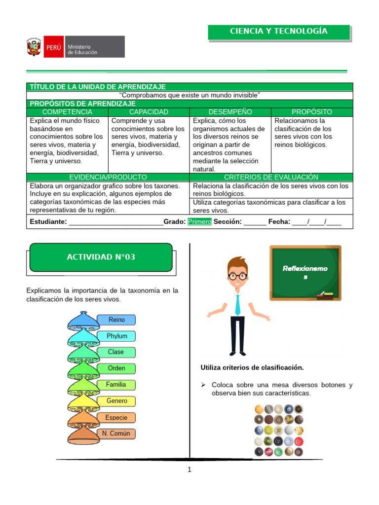 Actividad de Aprendizane N°. 03 | PDF | Especies | Taxonomía (biología)