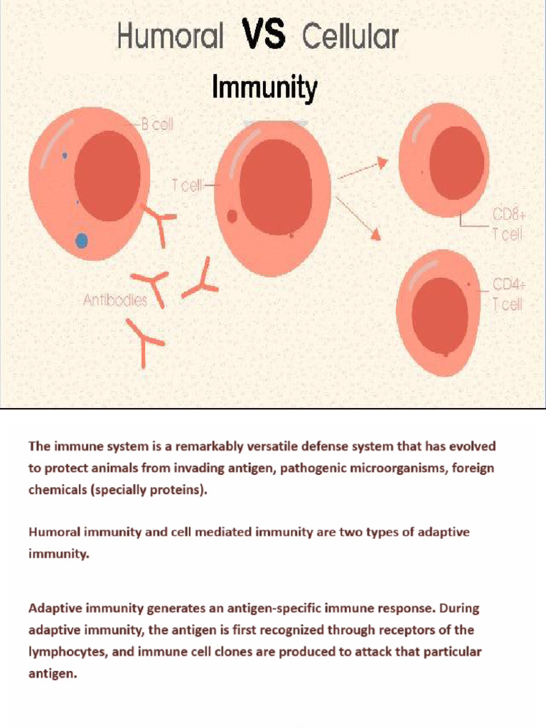 Cellular and Humoral Immunity | PDF