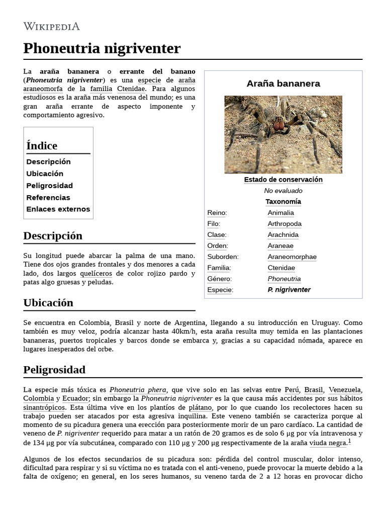 Phoneutria Nigriventer | PDF | Araña