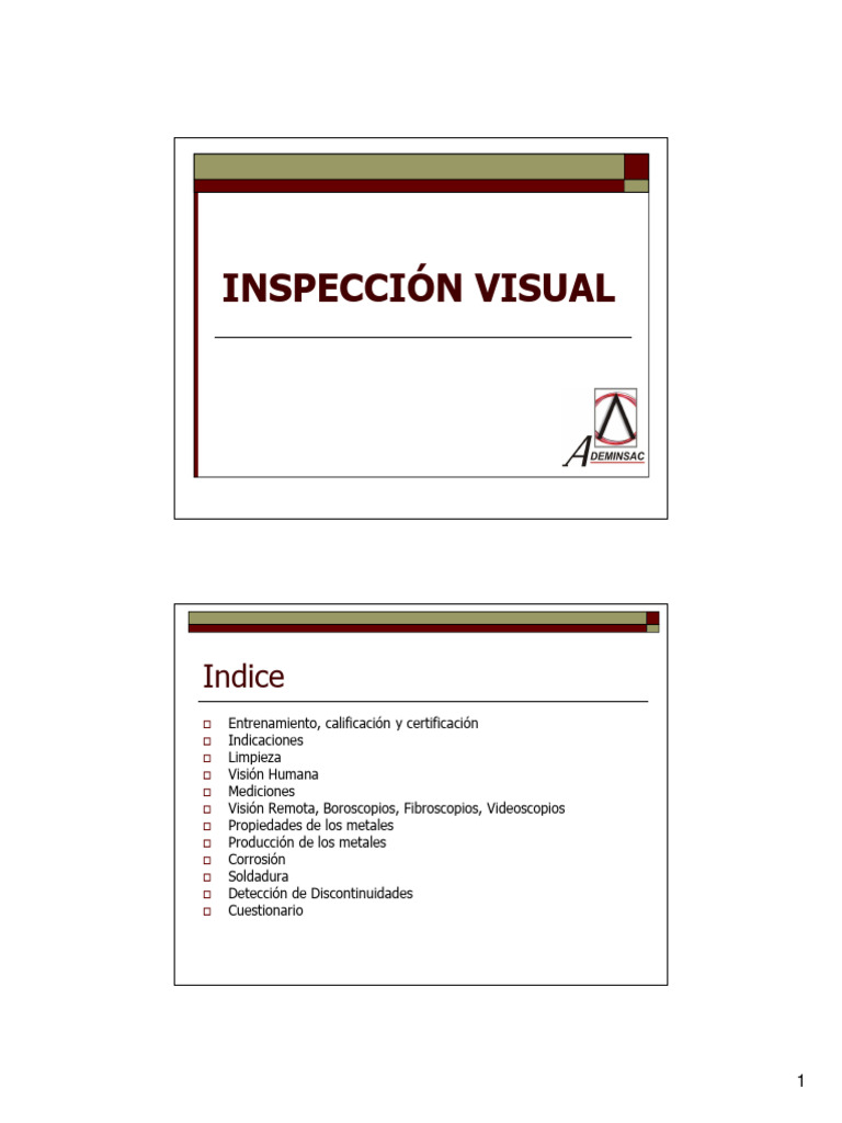 MANUAL INSPECCION VISUAL 09 dos diaposiy¿tiva | PDF | Ojo humano | Percepción visual