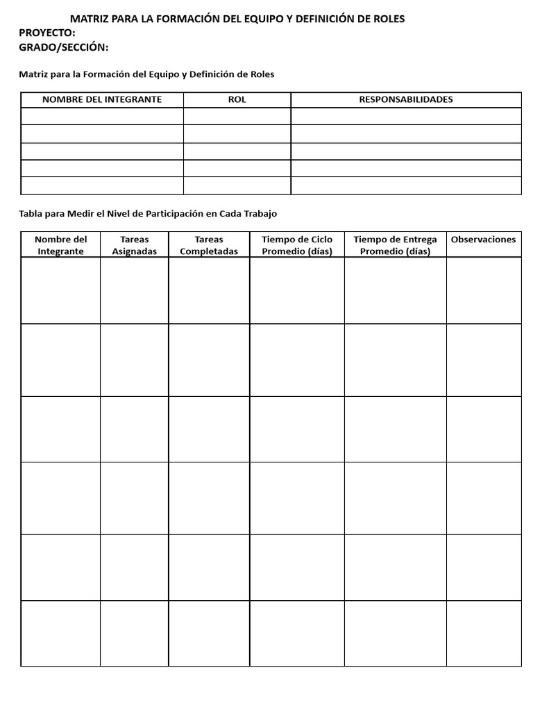 Matriz - Formaci-n Del Equipo y Definici-n de Roles.docx | PDF