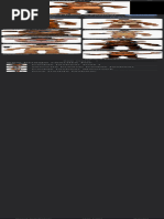 FNF Arrow Sprites and PNG Resources | PDF | Video Games