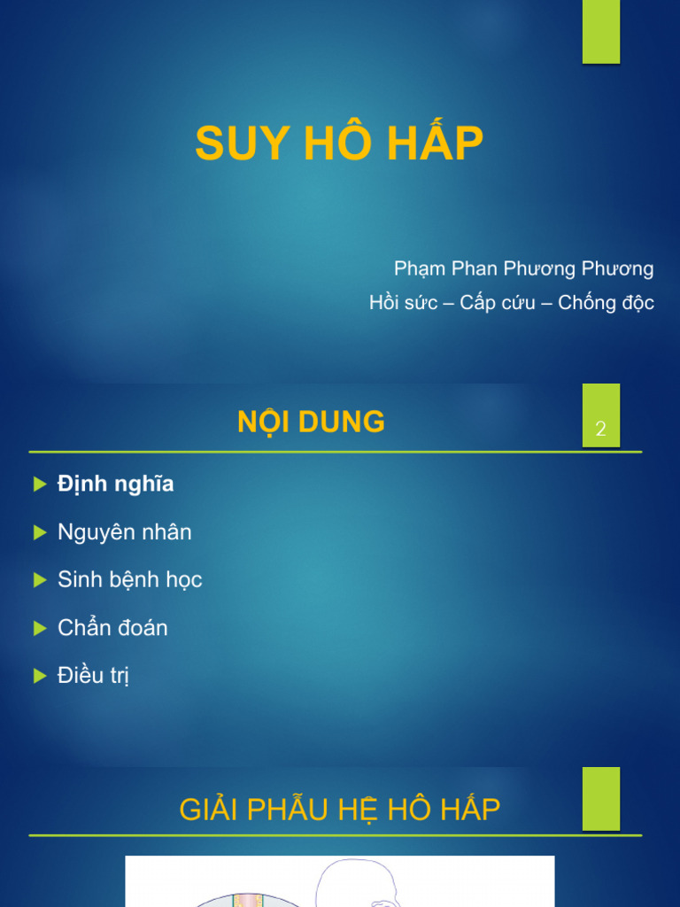 Suy Ho Hap SDH | PDF