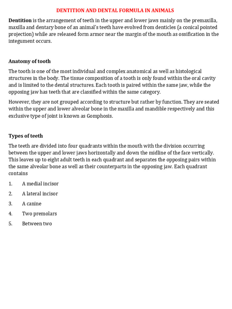 Dental Formulas in Various Animals | PDF | Dental Anatomy | Tooth