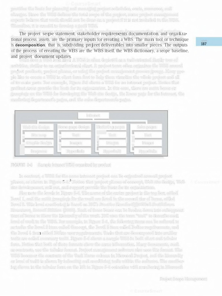 @2 Information Technology Project Ma (BookFi) | PDF | Project ...