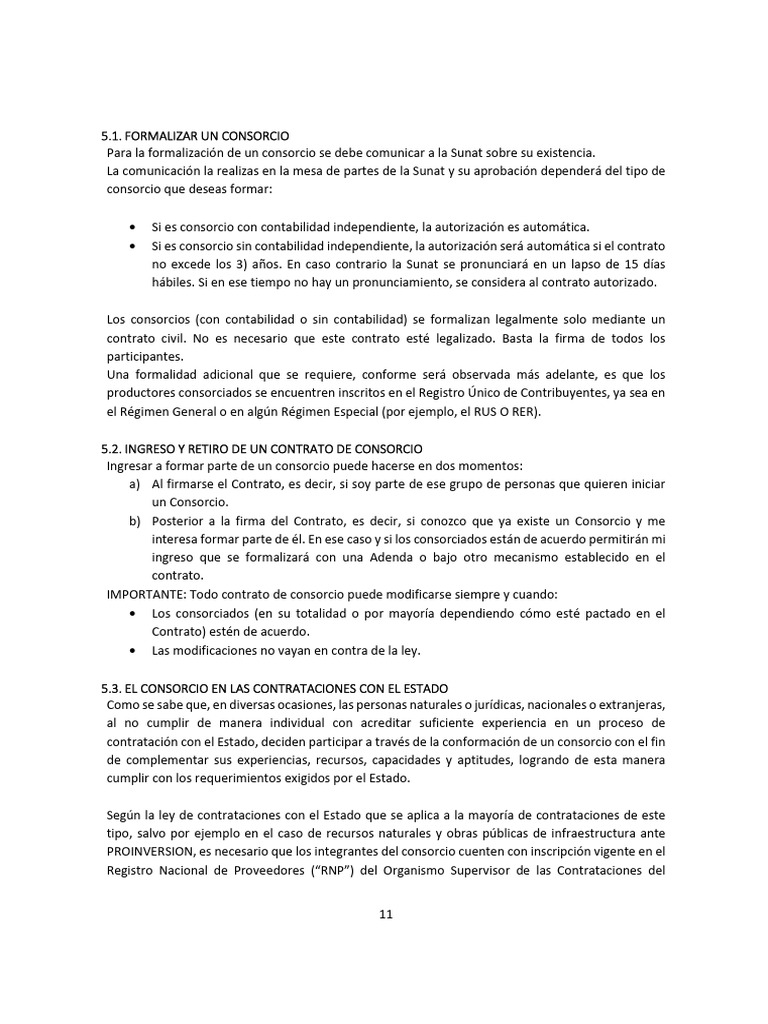 Cómo Formalizar un Consorcio en Perú | PDF | Consorcio | Logística