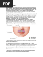 Anatomia Labial | PDF | Lábio