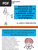 Nanda Nic Noc | PDF | Dolor | Cerebro