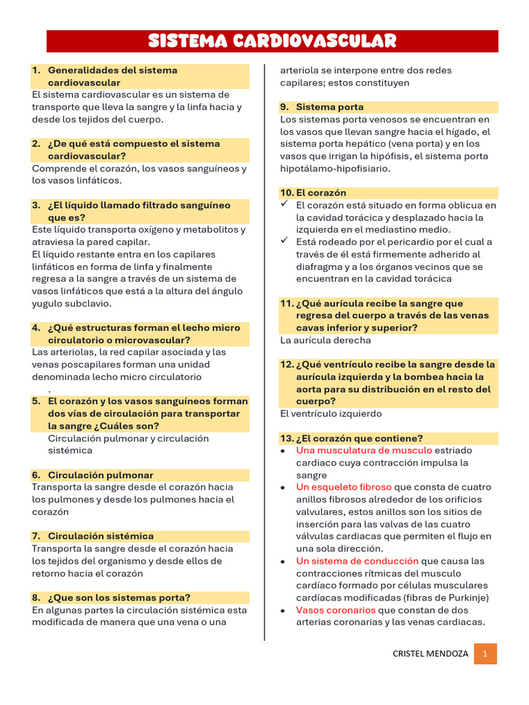Estructura y Función del Sistema Cardiovascular | PDF | Corazón ...