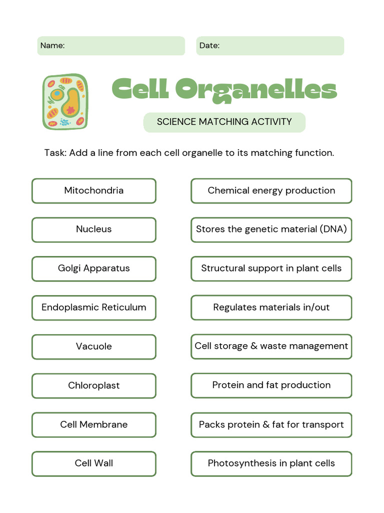 Cell Organelle Matching Science Activity Digital Worksheet in Green ...
