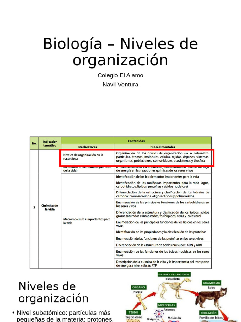 Biología 2 - Organización de Los Seres Vivos | PDF