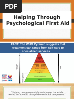 SAFER Revised Model | PDF