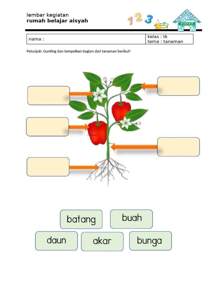 Worksheet 15 Tanaman | PDF