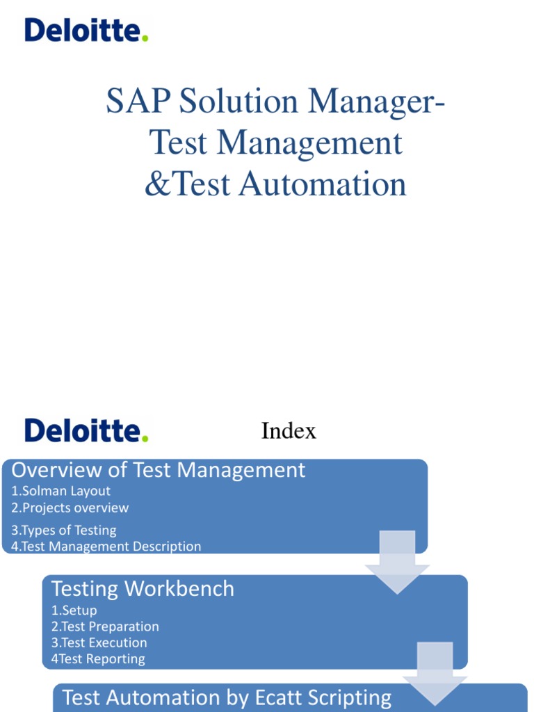 SOLMAN - Test Management | PDF | Scripting Language | Workflow