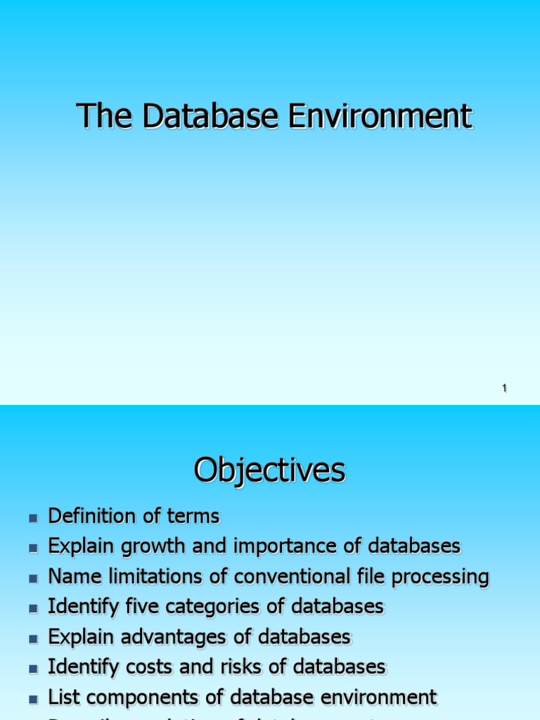 1 Database Environment Databases Metadata 5374