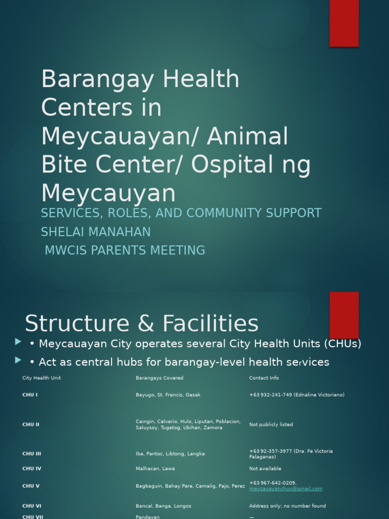 Meycauayan Health Services Overview | PDF | Preventive Healthcare ...