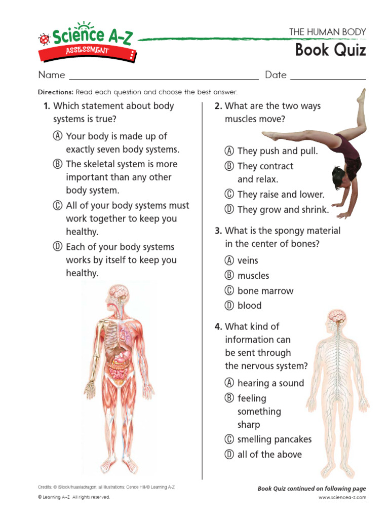 Human body quiz | PDF | Muscle | Human Body