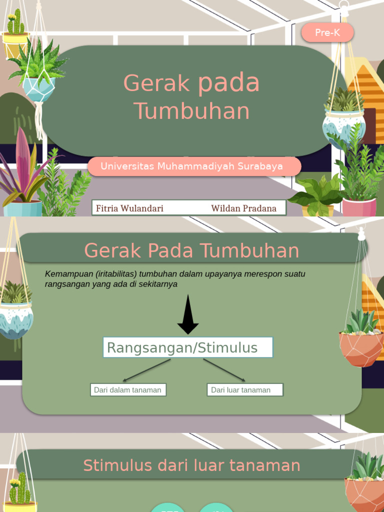 Rangsangan Eksternal Tumbuhan | PDF