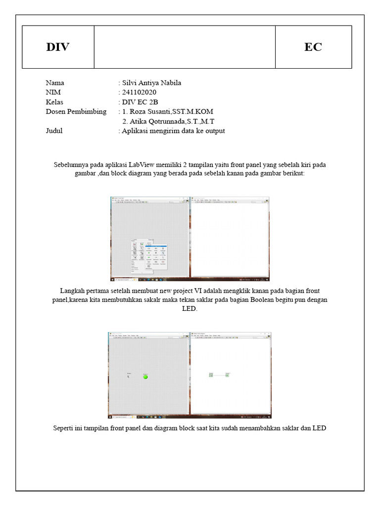 Silvi Job LabVIEW | PDF