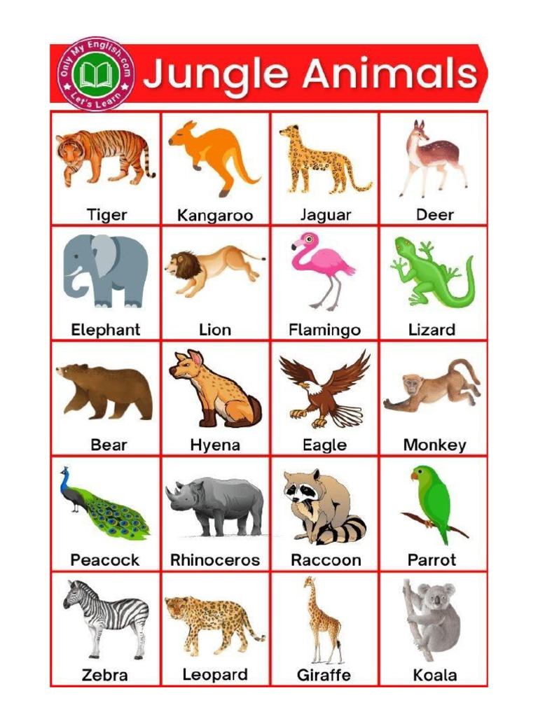 Land Animals | PDF