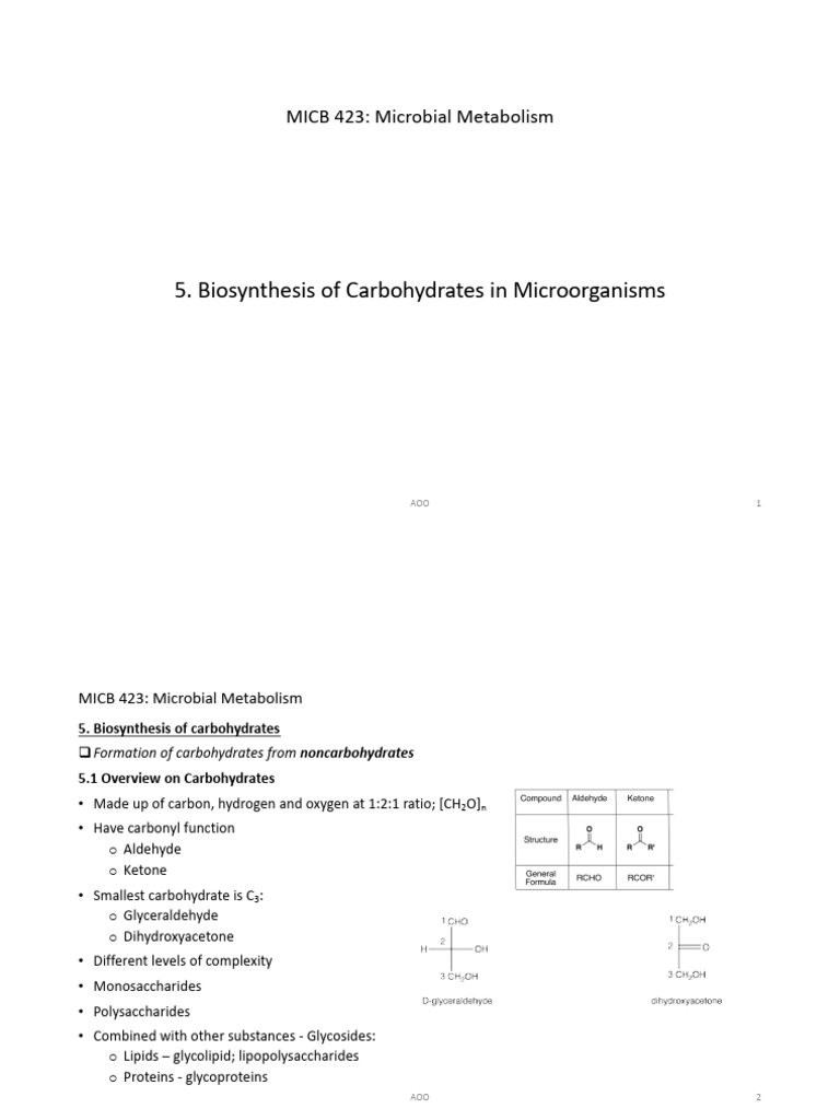 MICB 423 Micobial Metabolism - Biosynthesis of Carbohydrates | PDF ...