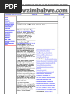 Master Chivero | PDF