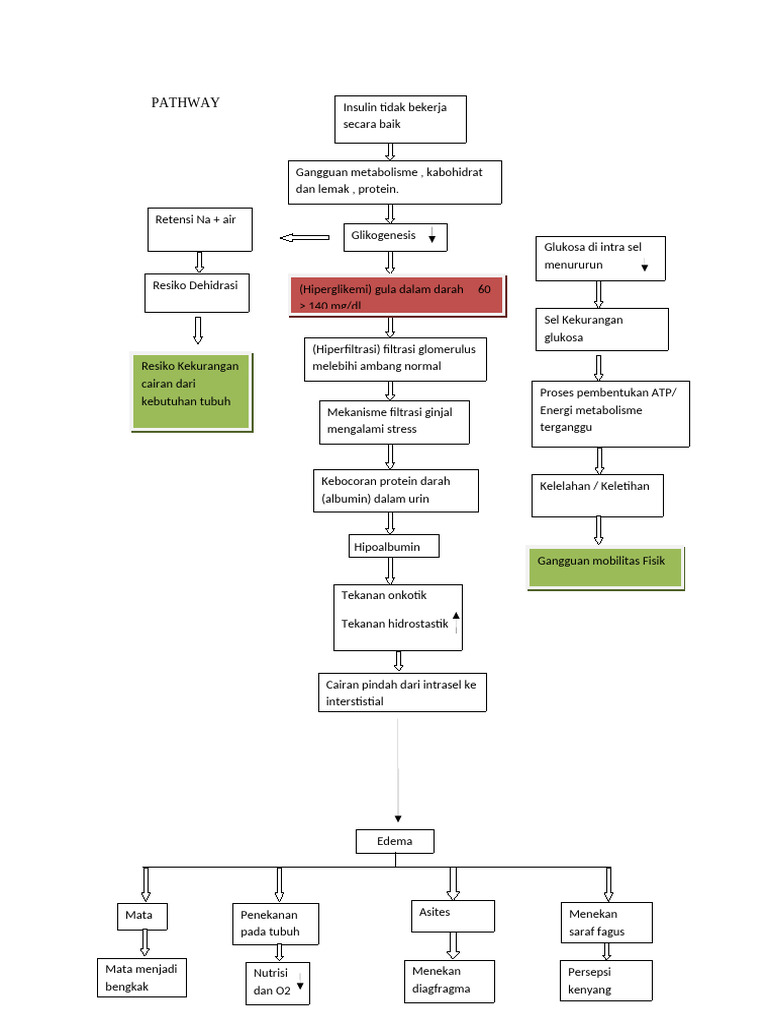 Pathway DM Nefropati | PDF
