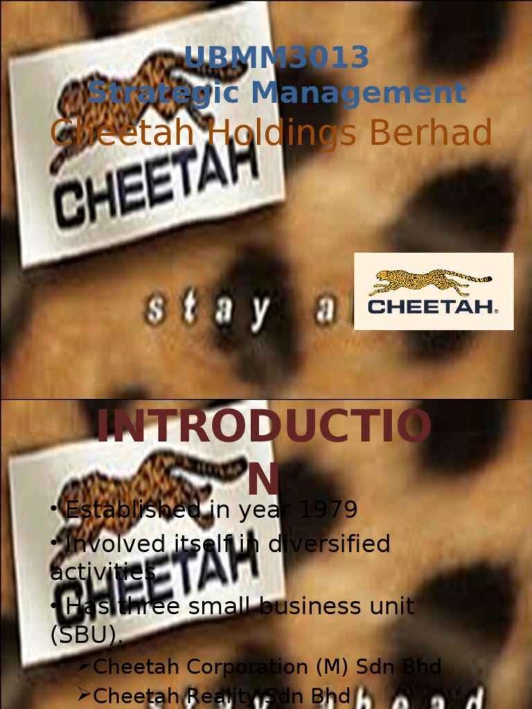Cheetah Presentation | PDF | Retail | Brand