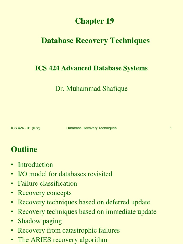 06 Chapter 19 Database Recovery Techniques | PDF | Database Transaction | Databases