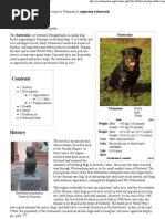 Top 7 Dog Breeds For Police Work | PDF | Police Dog | German Shepherd