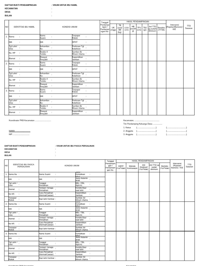 Visum TPK 2025 Revisi New | PDF