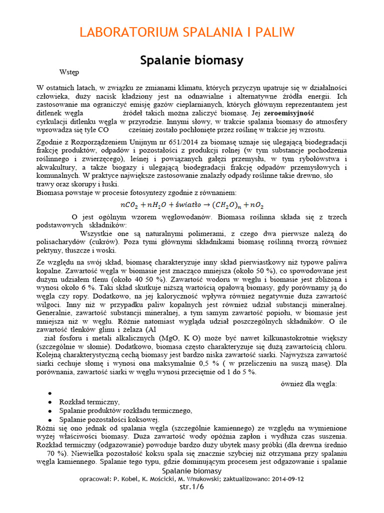 Spalanie Labor Instr Spalanie Biomasy | PDF