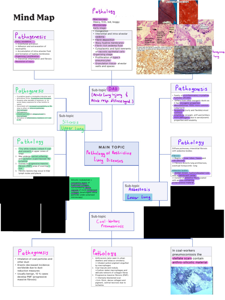 Pathology of Lung Diseases Overview | PDF | Respiratory Tract | Lung