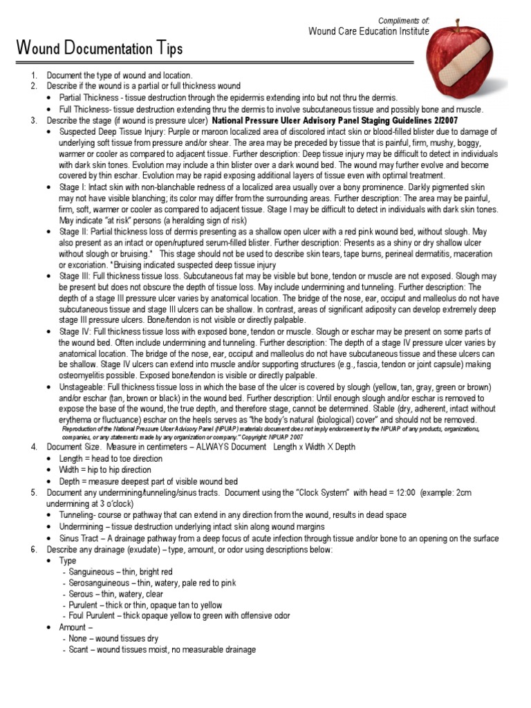 Wound Documentation Tips 6.07 | Anatomical Terms Of Location | Anatomy