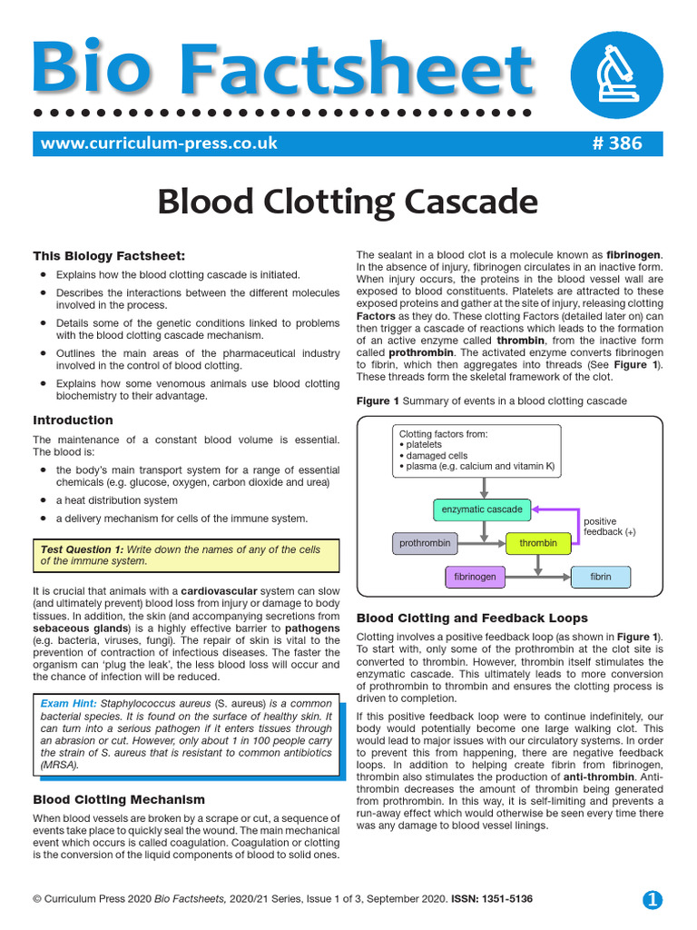 Blood Clotting Cascade Explained | PDF | Coagulation | Haemophilia