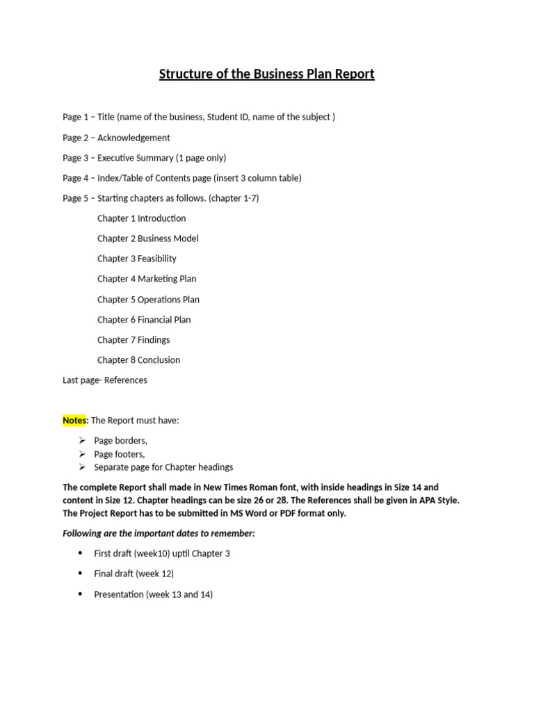 Format For Final Project New Venture | PDF