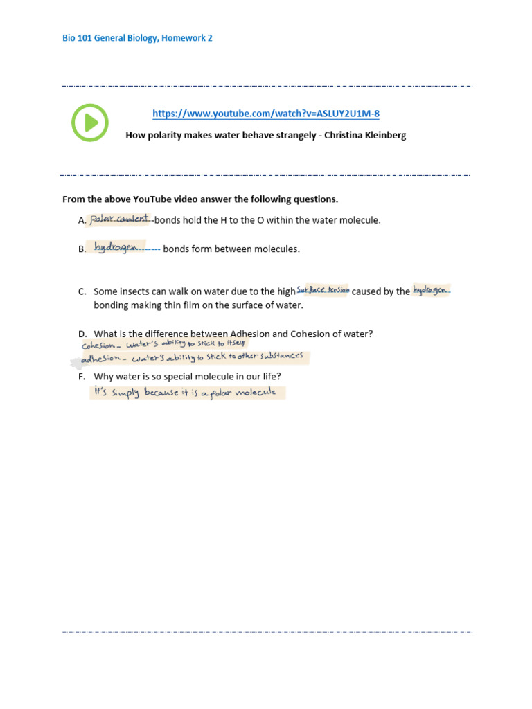 Homework L 2 | PDF