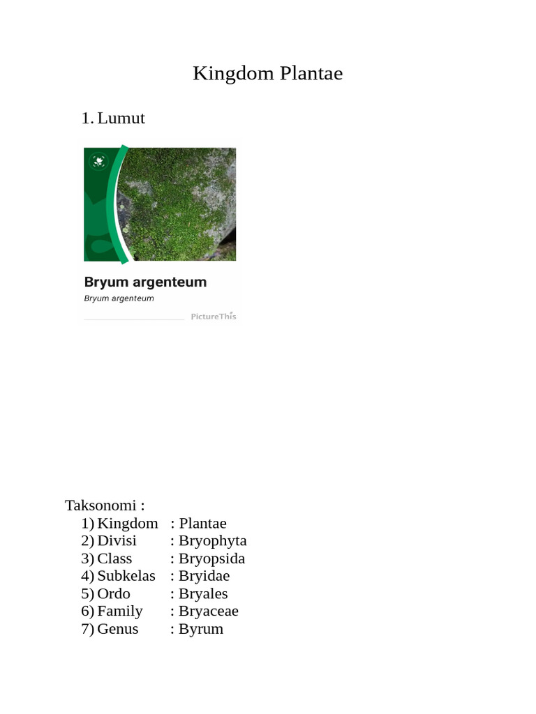 Kingdom Plantae 2 | PDF