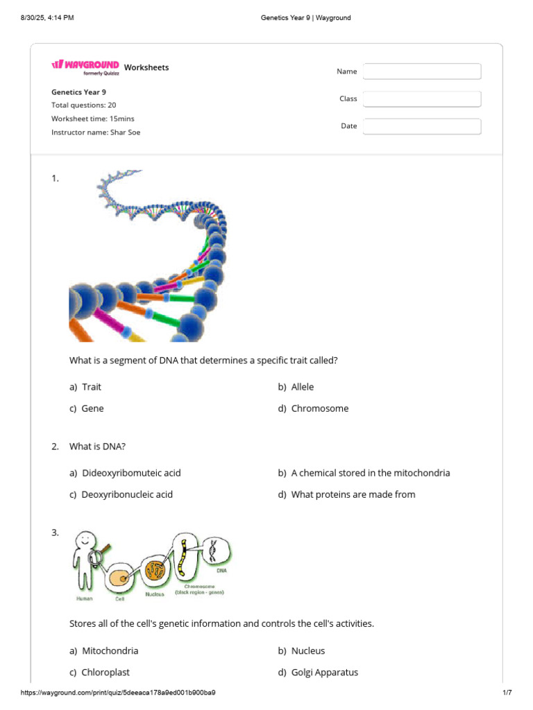 Genetics Year 9 - Wayground | PDF | Sexual Reproduction | Genetics