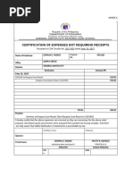 Expense Certification Without Receipts | PDF | Government | Justice