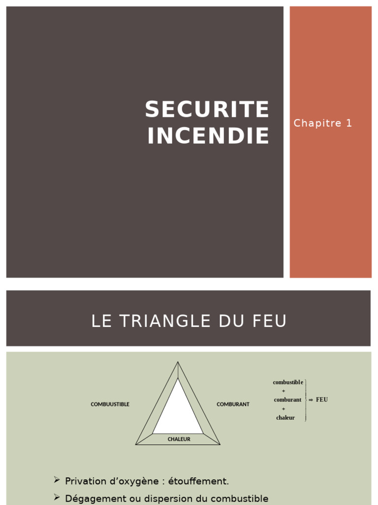Securite Incendie | PDF | La combustion | Combustible