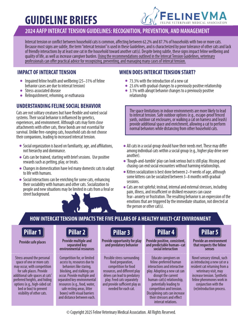 2024 Intercat Tension Management Guidelines | PDF | Cats | Stress (Biology)